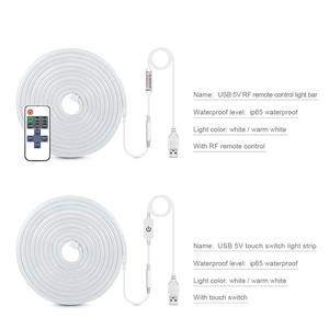 Jual Usb 5V Dimmable Waterproof Led Neon Strip Light With Rf Remote ...