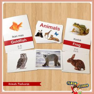 Jual Flash Card Animal|Flash Cards|Buku Anak|Flash n Learn - Kota Depok ...
