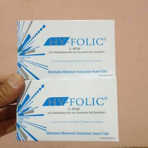 Jual HY FOLIC BOX ORIGINAL - HY FOLIC VITAMIN IBU HAMIL - Jakarta Barat ...