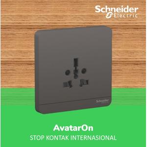 Jual SCHNEIDER AVATARON INTERNATIONAL SOCKET 16A DARK GREY E83426TS_DG ...