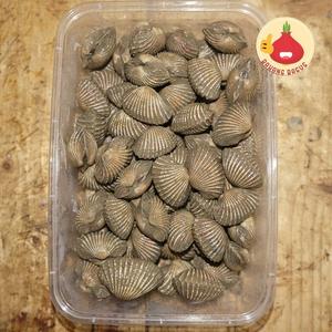 Jual Kerang Dara Segar / Fresh - 500gr - Kota Tangerang - BawangBagus ...