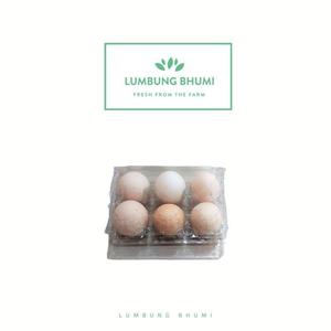 Jual Lumbung Bhumi - Telur Ayam Kampung 10 Butir - Jakarta Selatan ...
