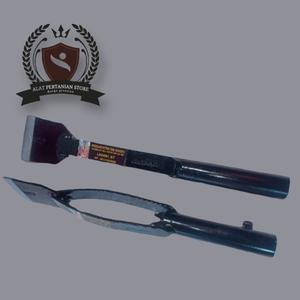 Jual TERUJI DODOS KASTRASI DODOS SAWIT DODOS MALAYSIA DODOS KELAPA ...