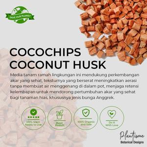 Jual Cocochip Cococube Coconut Husk Media Tanam Kelapa Cacah Coco Chips ...