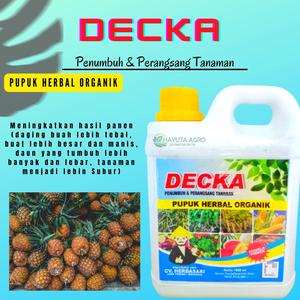 Jual Pupuk Nanas Madu Yang Bagus Untuk Pertumbuhan, Decka Pengendali ...