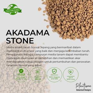 Jual Japanese Akadama Bonsai Tree Soil Hard Grade Clay Ball Media Tanam ...