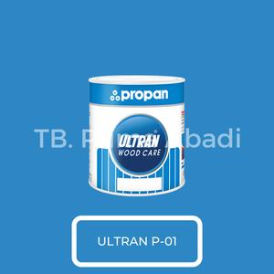 Jual PROPAN ULTRAN P-01 POLITUR EXTERIOR DAN INTERIOR - Kota Bogor ...