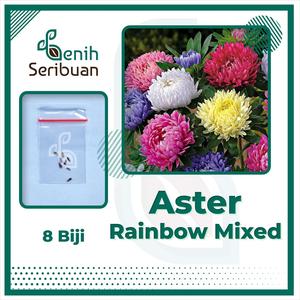 Promo 8 Bibit Bunga Aster Rainbow Mix Benih Tanaman Aster Warna-warni - Kota Bekasi - Benih ...