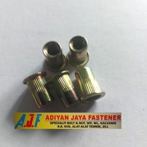 Jual NUT RIVET / MUR RIVET ( insert nut ) m.10 p.1,5 BESI - Jakarta ...