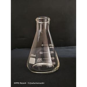 Jual Labu Erlenmeyer Flask 250 Ml Rrc - Kota Surabaya - HOSPITAL OFL ...