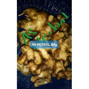 Jual Dijual Jual Rimpang Bangle Segar 1 Kg Berkualitas - Jakarta Timur ...