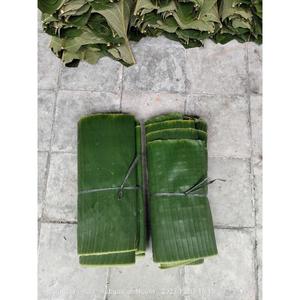 Jual Daun pisang segar dipetik saat dipesan - Kota Tangerang Selatan ...