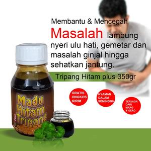 Jual Madu tripang hitam plus gamat emas obat gula sehatkan ginjal ...