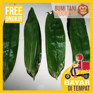 Jual daun bambu segar daun bakcang besar/sedang/kecil - Kab ...