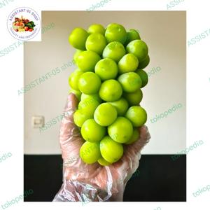 Jual new shine muscat grapes pack | anggur shine muscat yuji premium ...