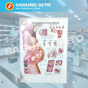 Promo POSTER PREGNANCY AND BIRTH 3D / POSTER KEHAMILAN DAN KELAHIRAN 3D ...