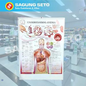Promo POSTER UNDERSTANDING ANEMIA BS181 3D / POSTER MEMAHAMI ANEMIA 3D ...