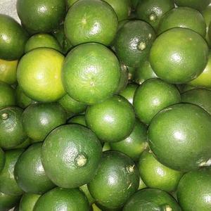 Jual Jeruk Nipis Segar Fresh 1 Kg - Kab. Pangandaran - Prembun Store ...