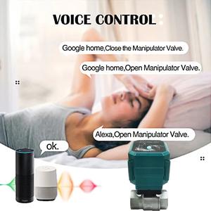 Jual . Tuya Smart Wifi Electric Stainless Steel Motorized Ball Valve ...
