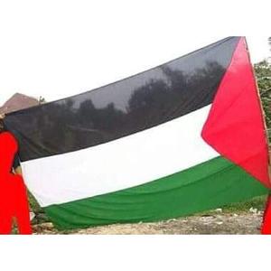 Jual Bendera - Atribut - Bendera Palestina - BahanPeles - Ukuran35x35 ...
