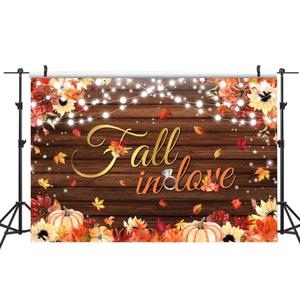 Promo Fall in Love Backdrop Fall in Love Theme Photography Backdrop ...