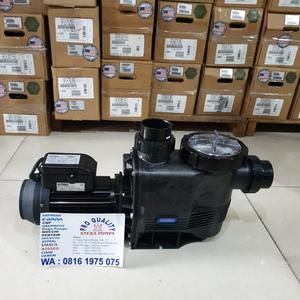 Jual Pompa Waterco 3Hp 1Phase Hydrostorm Plus 300 Hydrostorm 300 220V ...