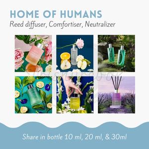 Jual Decant Share Home of Humans HMNS Reed Diffuser Comfortiser ...