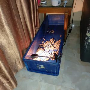 Jual Kolam Box Ikan Box Kura Kura Box Reptil Box Kontainer Plastik Box ...
