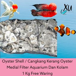 Jual OYSTER SHELL KULIT KERANG PENSTABIL PH MEDIA FILTER KOLAM 1KG ...