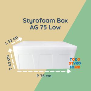 Jual kt styrofoam box ag 75 low styrofoam box ag 75 khusus gosend ...