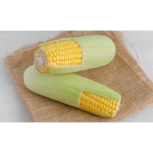 Jual Jagung Kupas/Jagung Manis/Jagung Madu Sayur - 3 pcs - Kota ...