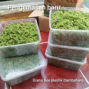 Jual azolla microphylla pakan ternak 1kg, bibit azolla microphylla ...