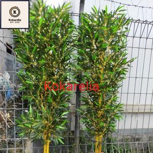 Jual POHON BAMBU PLASTIK/BAMBU SUDUT/HIASAN RUMAH/BUNGA ARTIFICIAL ...