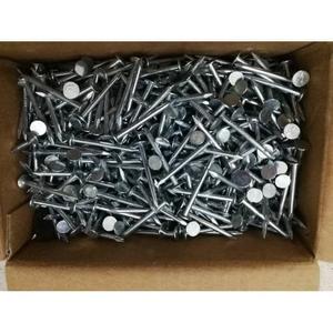 Jual PAKU GRC 1 INCH PAKU KALSIBOARD KEPALA GEDE 1IN PAKU PLA siydli ...