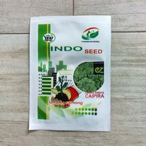 Jual Benih Bibit Selada Caipira Batavia Lettuce Biji Indo Seed ...