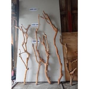 Jual SALE Pohon Kayu Ranting Kering Hias Dekor Rumah Lamtoro tinggi ...