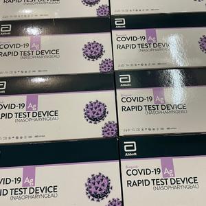 Jual Panbio Abbott Naso Swab Antigen Original Akd Kemenkes Isi 25 Pcs ...