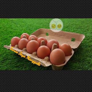 Jual paper egg box 10 lubang/ kotak telur / box kotak telur kertas ...
