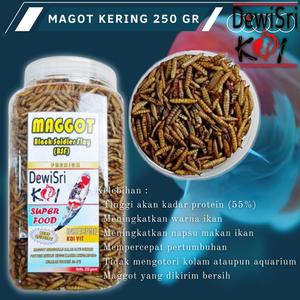 Promo Magot Kering 250 Gram Maggot Premium Protein Tingkat Tinggi Pakan ...