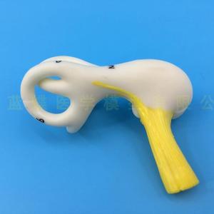 Jual Model Medis Telinga Bagian Dalam Labirin Model Anatomi Telinga ...