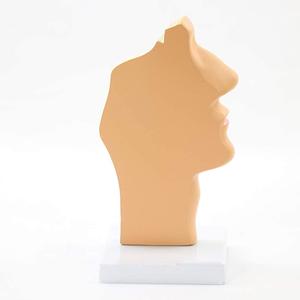 Jual Model Anatomi Rongga Hidung Tenggorokan Model Laring Faring ...