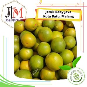 Jual [JM SoFresh] - Buah Segar Jeruk baby Java Kota Batu, Malang Manis ...