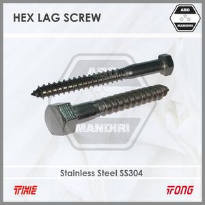 Jual SS304 Deskrup Stainless 1/4" X 1" ( Lag Screw ) 1/4 x 1 - Kota ...