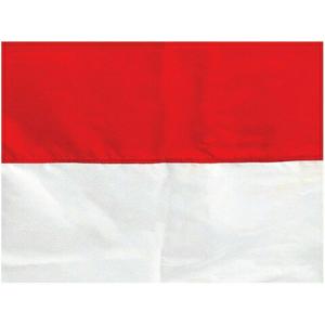 Jual Bendera Merah Putih 100cm x 150cm Bahan Kain Satin mk3567 - Kota ...