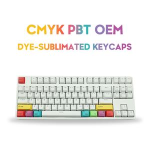 Jual Mechanical Keyboard Pbt Keycaps Oem Profile Cmyk 10 Keys - Kab ...