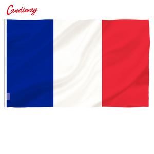 Jual Oriflamme 3Ftx2Ft France Flag National Flags Super-Poly - Kota ...