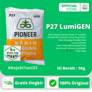 Jual Bibit Benih Biji Jagung Hibrida Varietas PIONEER P27 Gajah Lumigen ...