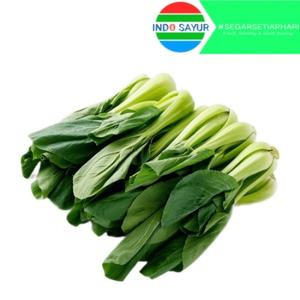 Jual Pakcoy Segar 500gr - 250 - Jakarta Timur - IndoSayurJakarta ...