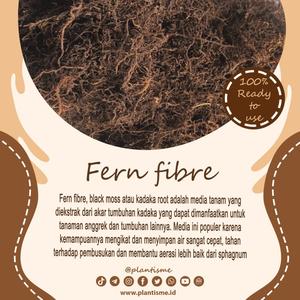 Jual Media Tanam | Fern Fibre Black Moss (Kadaka Root) | Metan Mix ...