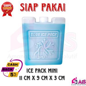 Jual ICE PACK MINI KOTAK ICE PACK BLUE PENGGANTI DRY ICE PENGGANTI ES ...